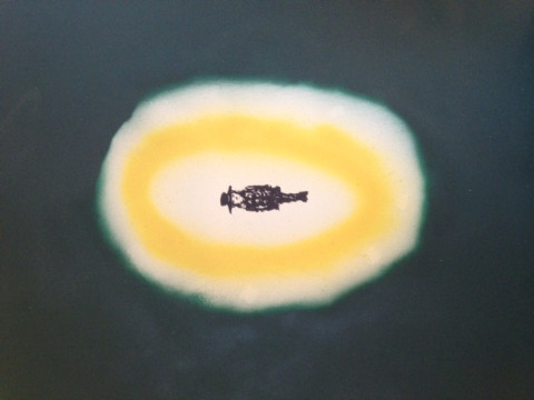 ARTWORK - StevenWright.com